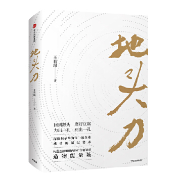 地头力:华为能量场 王育琨【书】