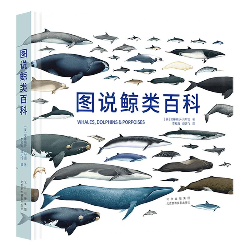 图说鲸类百科(精)