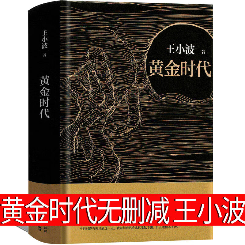 黄金时代 王小波著无删减王小波的书三十而立 逝水流年 似水流年全集黄金时代三部曲现代当代长篇文学