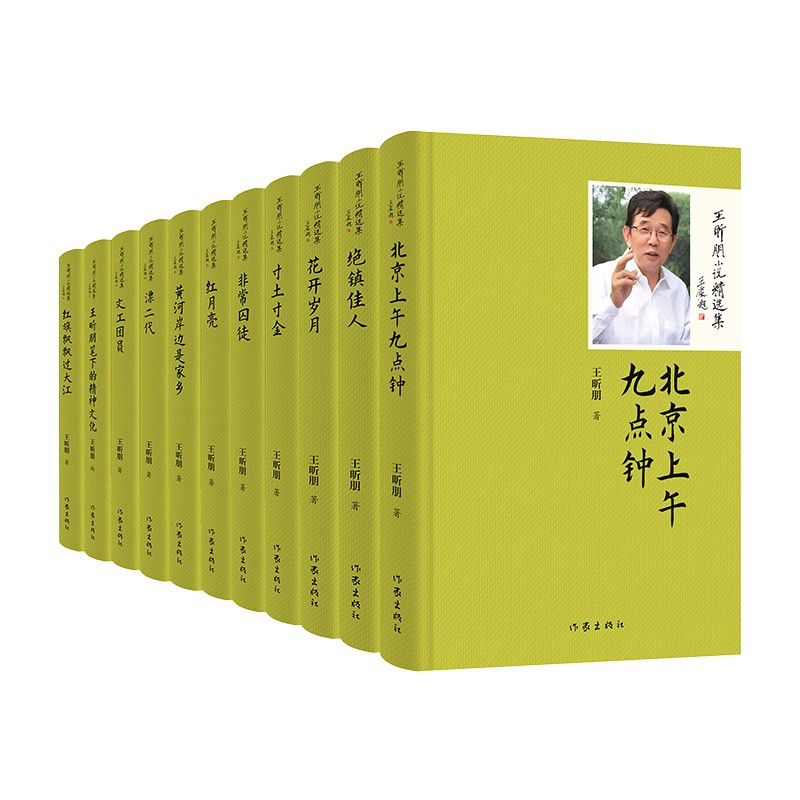 王昕朋小说精选集
