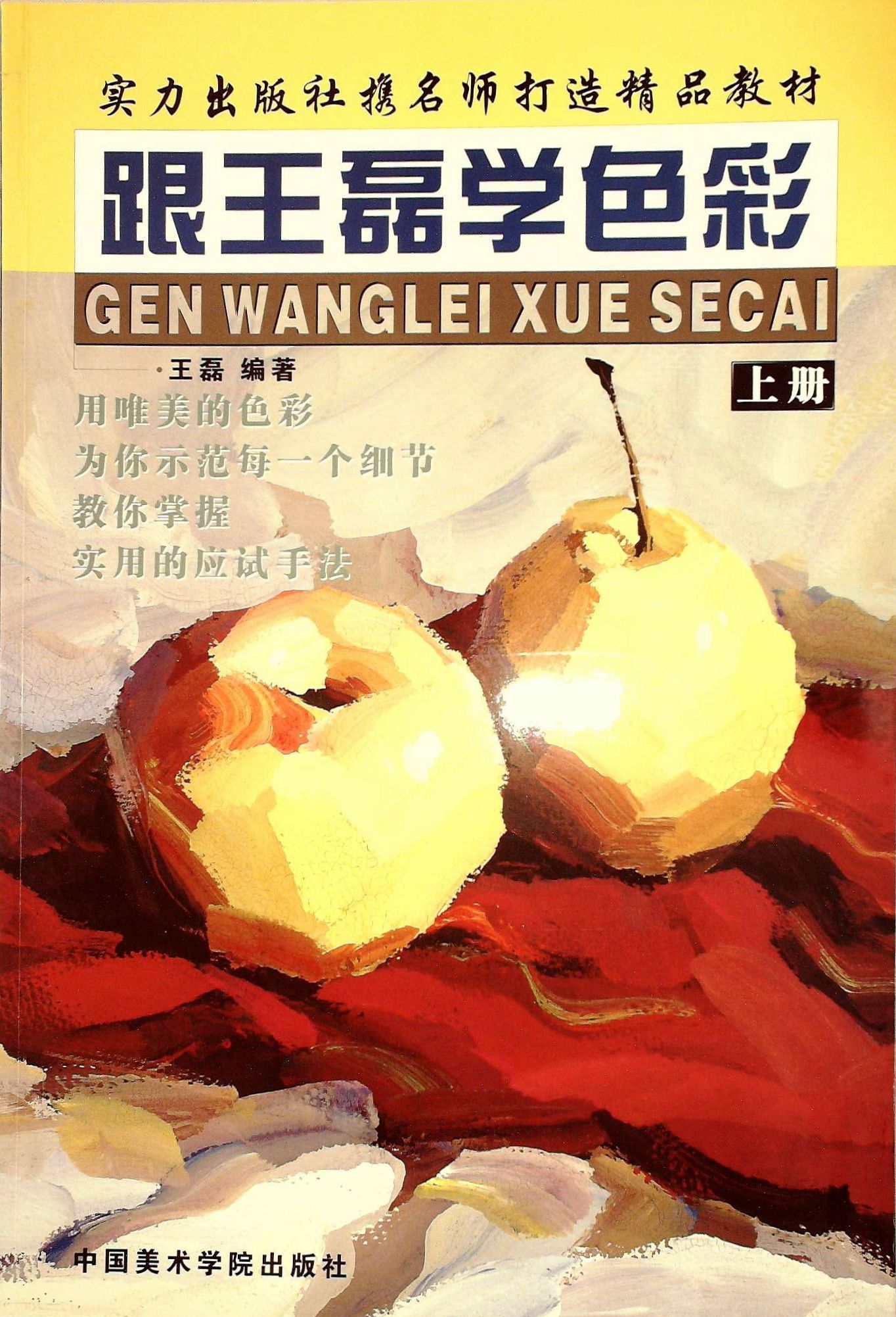 跟王磊学色彩 王磊 编著【书】