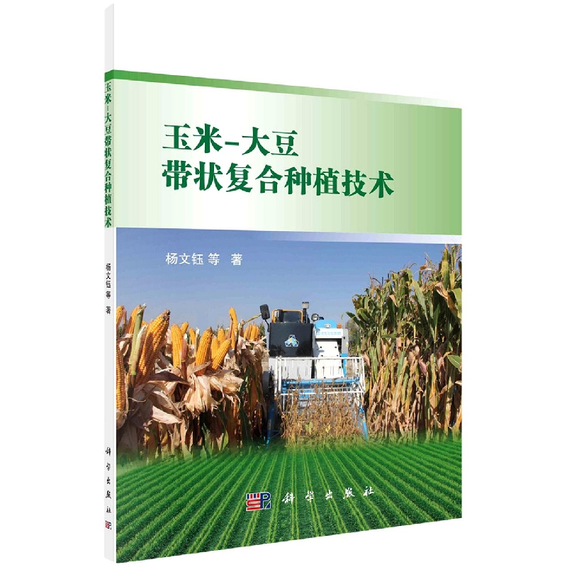 玉米-大豆带状复合种植技术 杨文钰