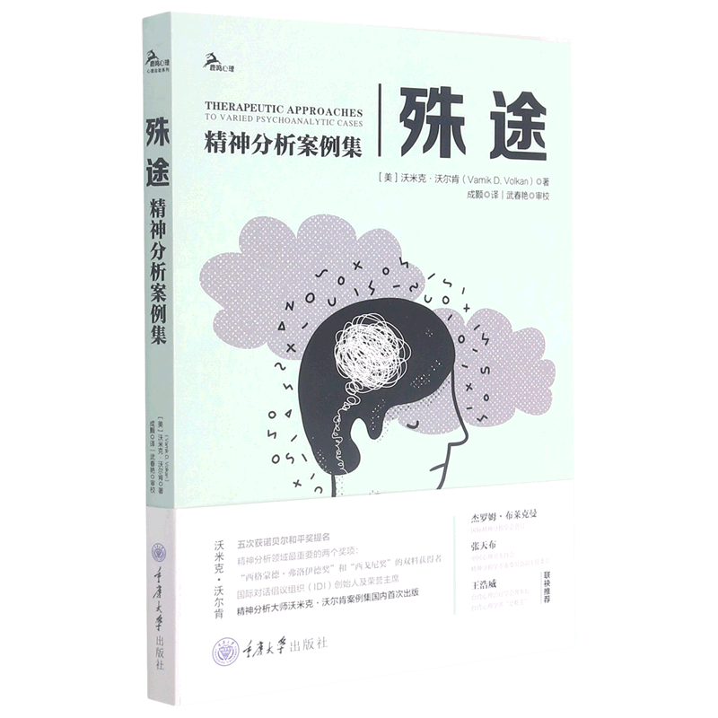 殊途(精神分析案例集)