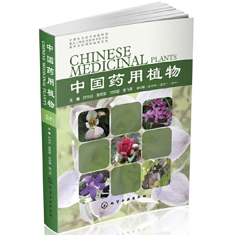 中国药用植物（三十）
