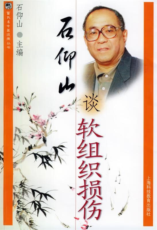 石仰山谈软组织损伤 石仰山 主编