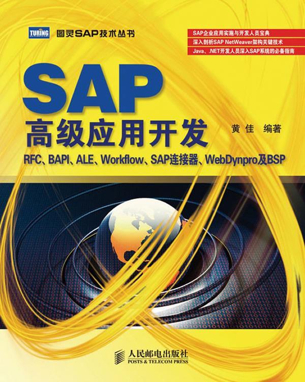 SAP高级应用开发 黄佳 著【书】