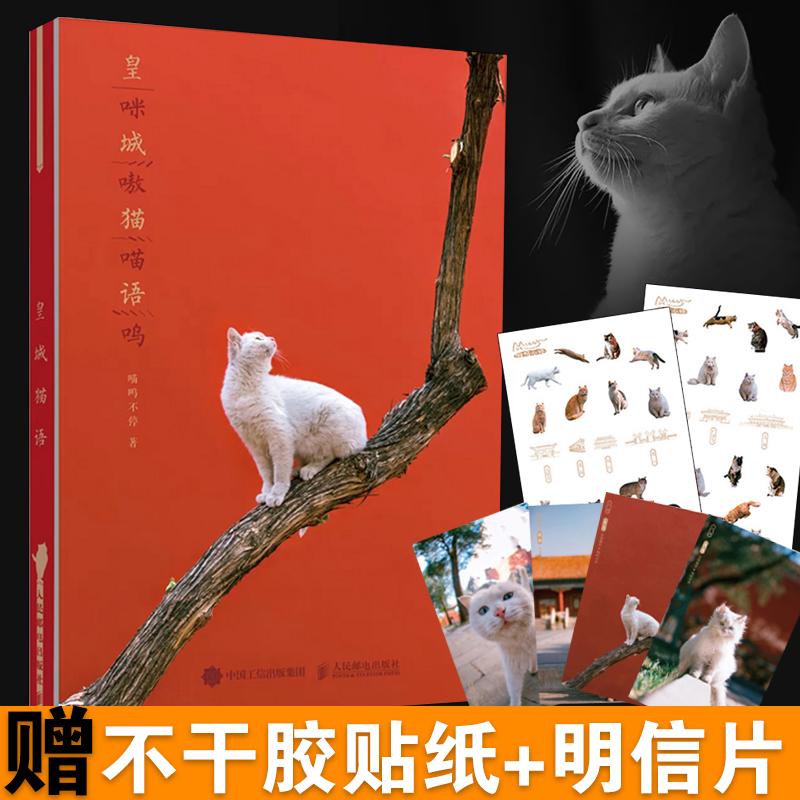 皇城猫语 喵呜不停的主题手账 摄影书籍入门教材学构图与用光笔记摄影教程书人像摄影构图艺术数码单反摄