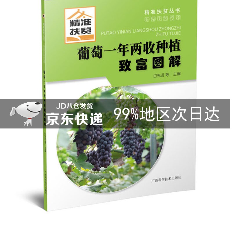 葡萄一年两收种植致富图解