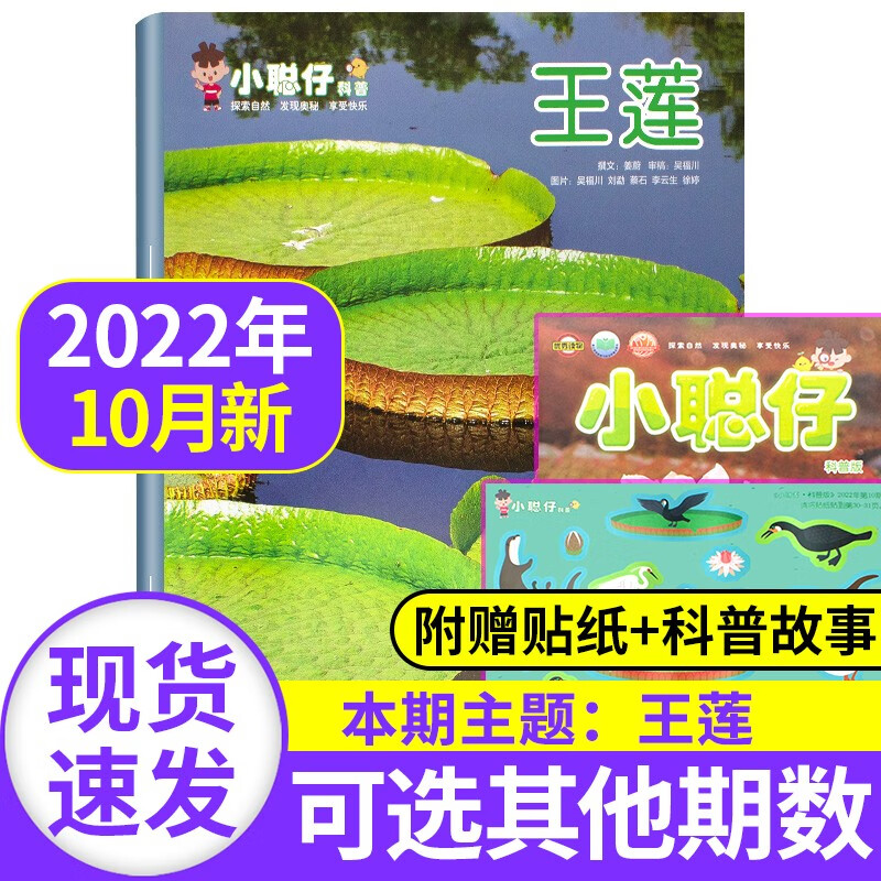 【新期到】小聪仔科普版杂志2023/2022年【单本多期可选】 2~8岁幼儿益智兴趣智力开发低年级儿童科普百科自然探索奥秘非过期刊 小聪仔（科普版）2022年10月