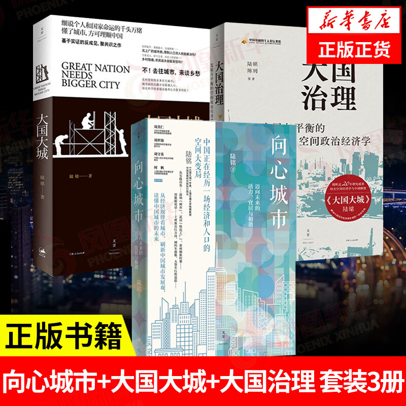 【陆铭套装3册】向心城市+大国大城+大国治理