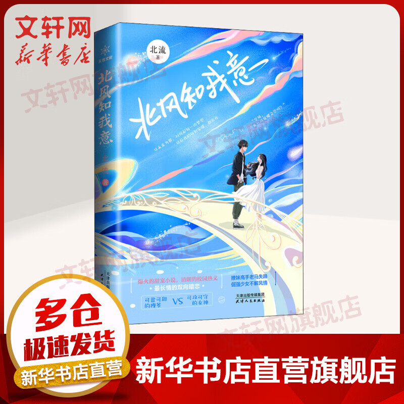 北风知我意 图书