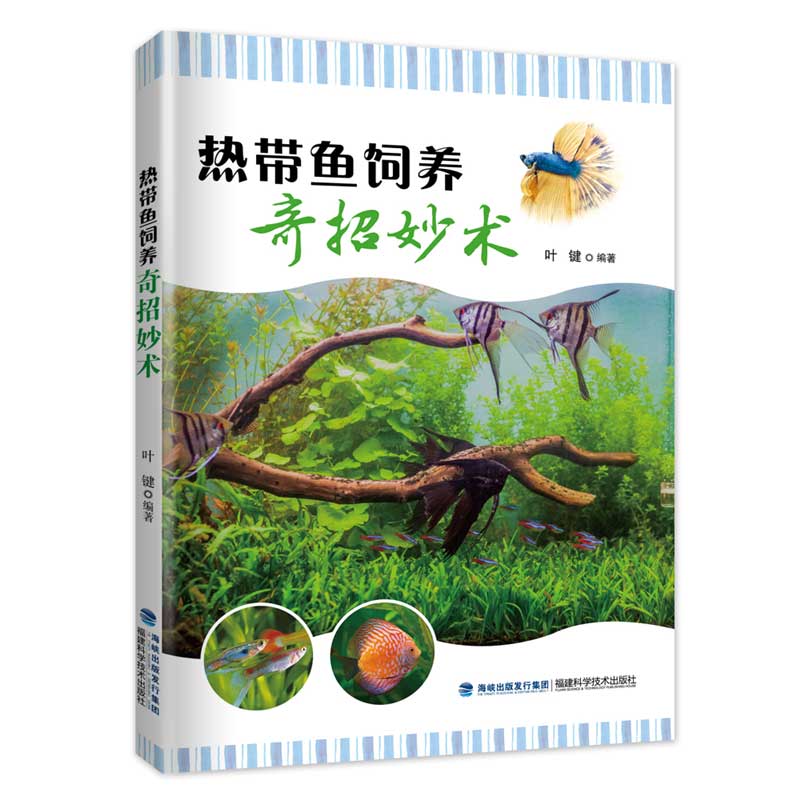 热带鱼饲养奇招妙术9787533557324