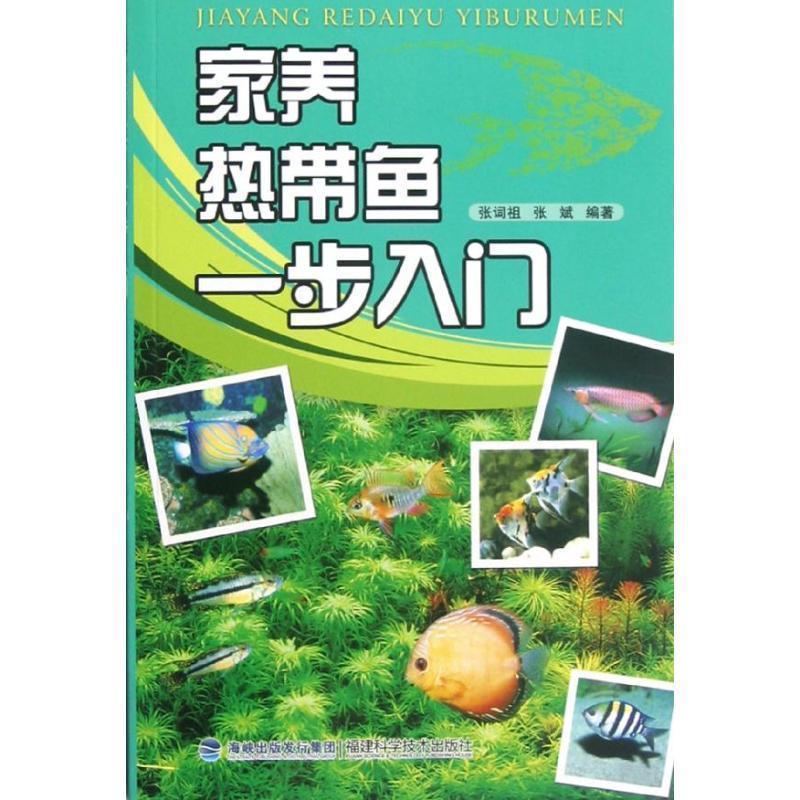 家养热带鱼一步入门 张词祖,张斌主编