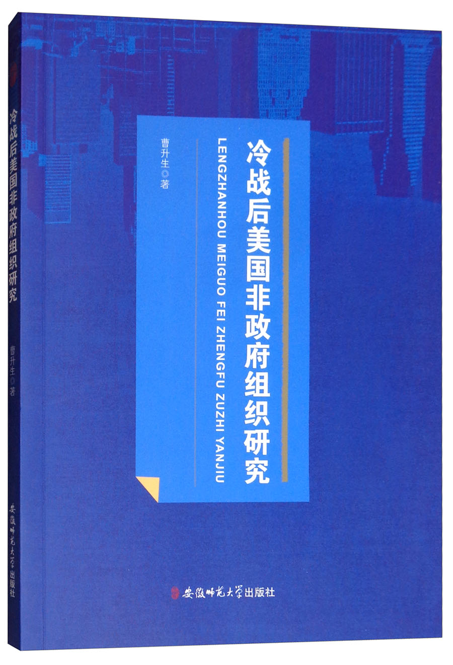 冷战后美国非政府组织研究