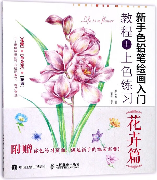 新手色铅笔绘画入门教程+上色练习(花卉篇)