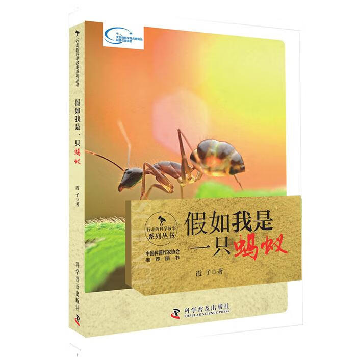 假如我是一只蚂蚁 霞子
