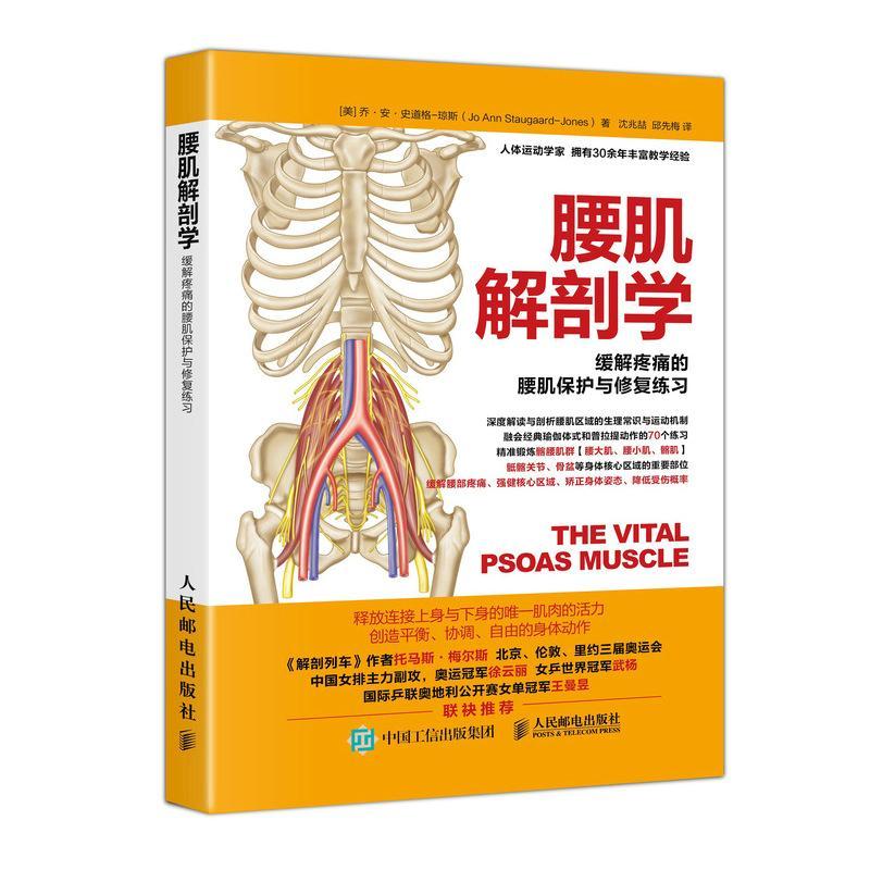 全新现货 腰肌解剖学 缓解疼痛的腰肌保护与修复练 9787115476791 乔·安·史道格_琼斯