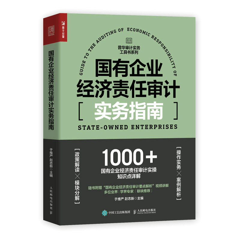 国有企业经济责任审计实务指南 国企审计工具书财务报告审计报告会计财务报表普华审计实务工具书审计目标内容程序流程书