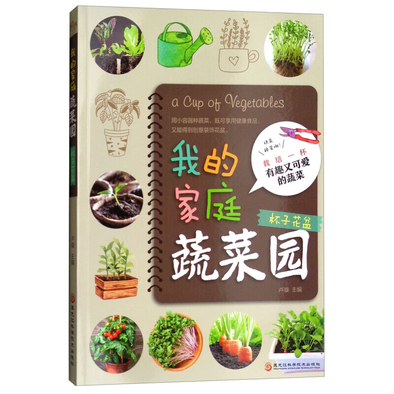 我的家庭蔬菜园 杯子 花盆