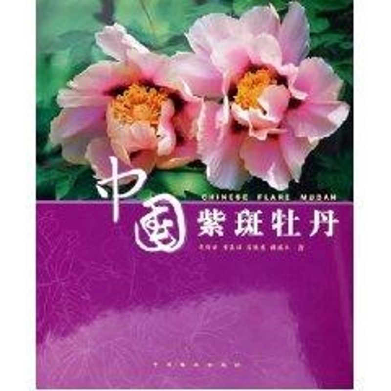 中国紫斑牡丹