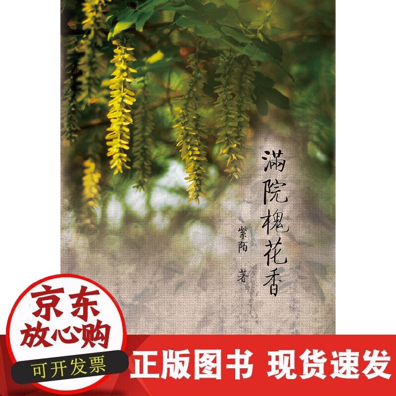 【现货】满院槐花香