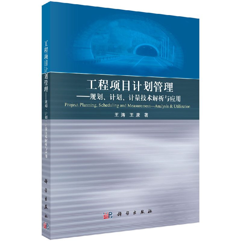 工程项目计划管理/规划/计划及计量技术解析及应用