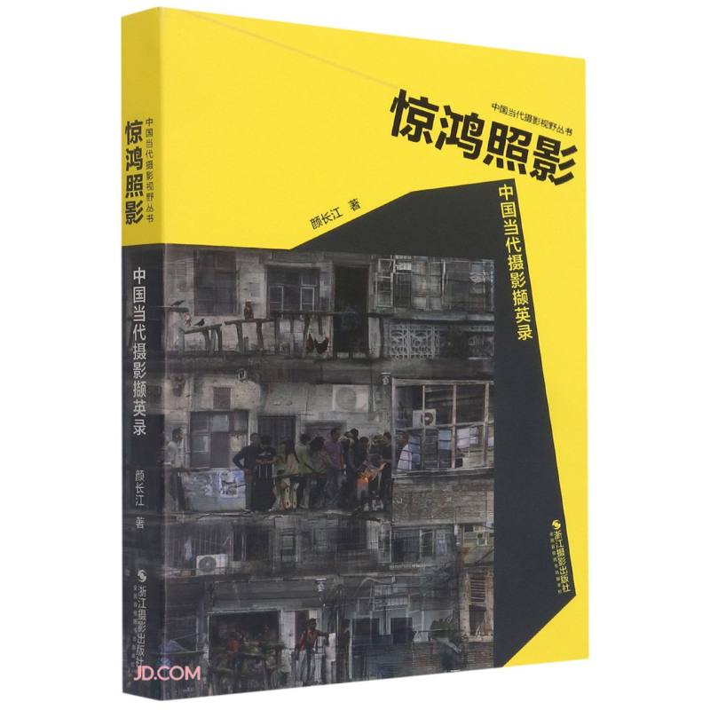 惊鸿照影(中国当代摄影撷英录)/中国当代摄影视野丛书