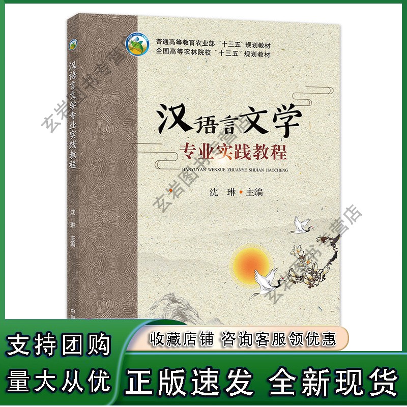n汉语言文学专业实践教程 沈琳