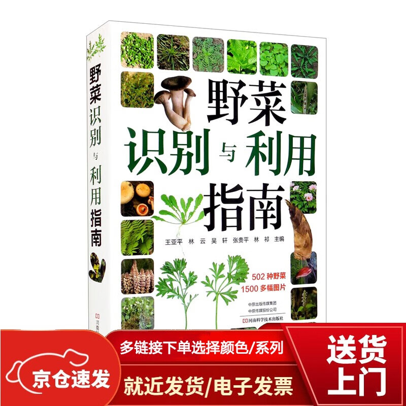 野菜识别与利用指南【以所选系列为准】【已您下单选择的系列、颜色发货】
