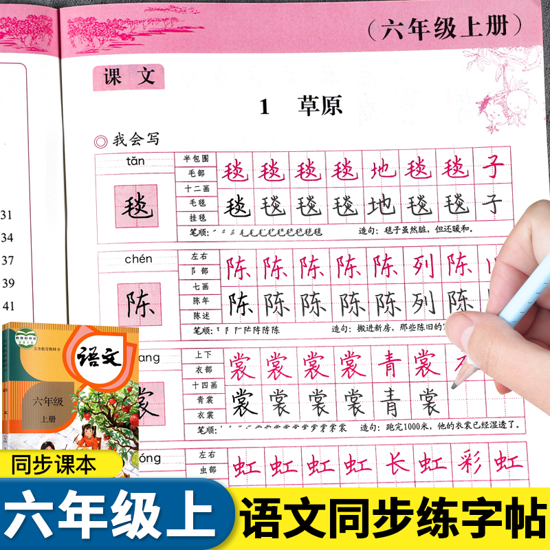六年级上册字帖练字帖语文人教版小学六年级上写字课课练语文课本教材配套同步训练字帖描红本田英章书小学生正楷练字专项练习册天天练S 六年级上册【语文同步练字帖】 六年级上
