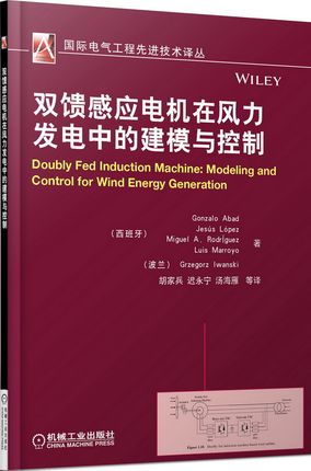 双馈感应电机在风力发电中的建模与控制