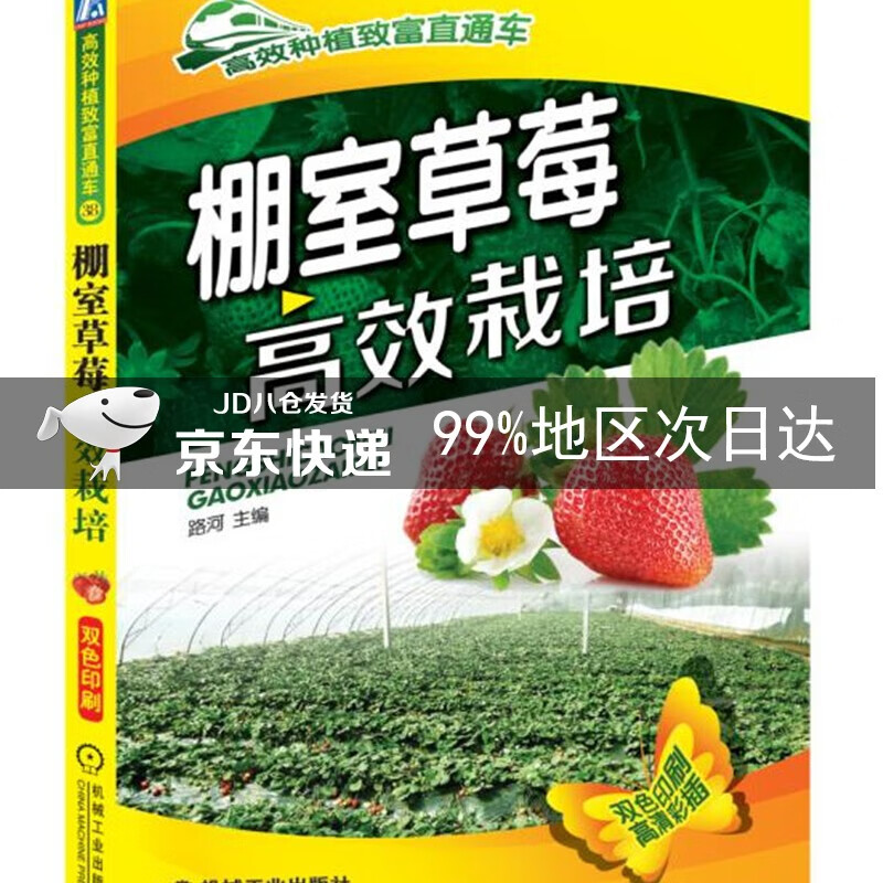 棚室草莓高效栽培