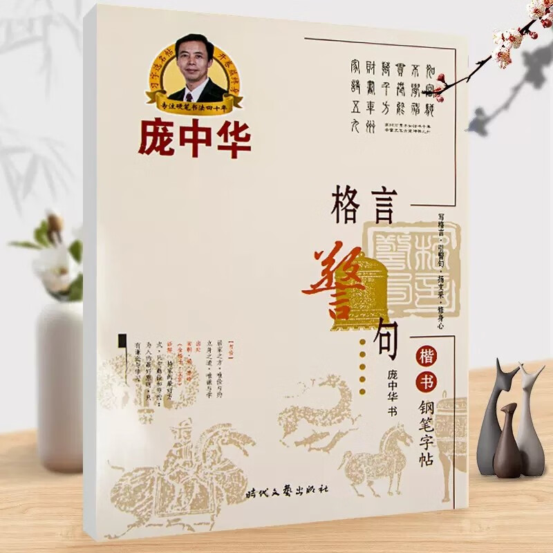 庞中华楷书成人字帖大学生练字帖硬笔书法练字本钢笔正楷临摹成年男生楷书入门基础训练笔画笔顺唐诗宋诗 楷书格言警句