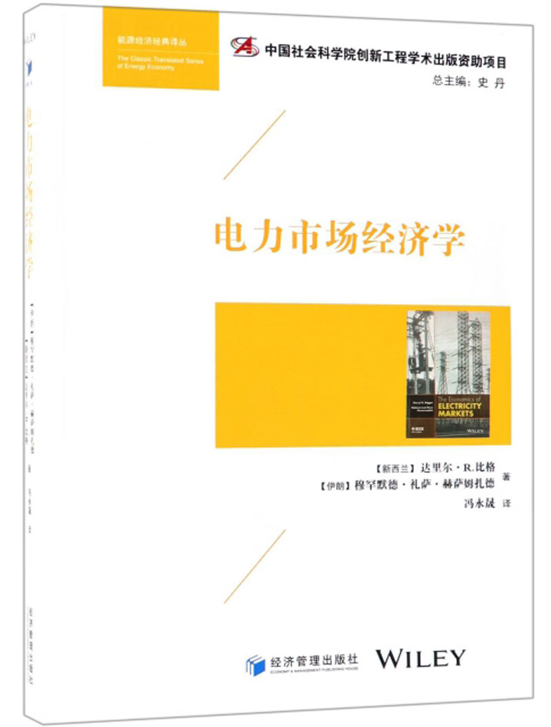 电力市场经济学/能源经济经典译丛