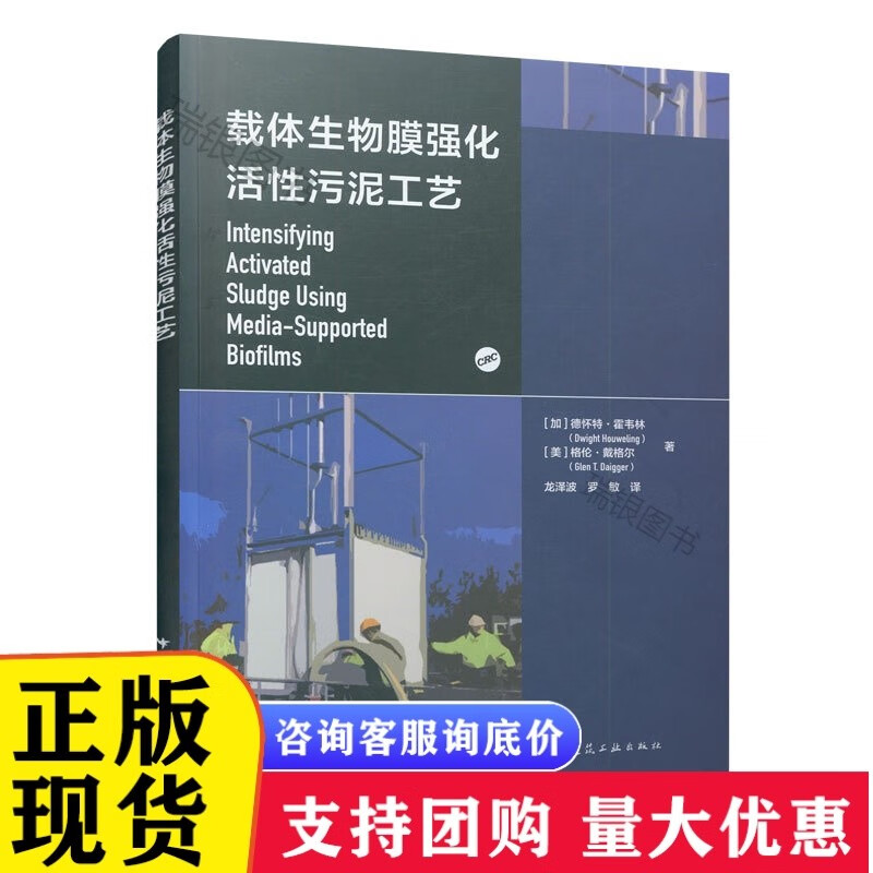 载体生物膜强化活性污泥工艺[速发n]