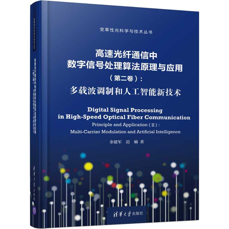 高速光纤通信中数字信号处理算法原理与应用(第2卷):多载波调制和人工智能新技术