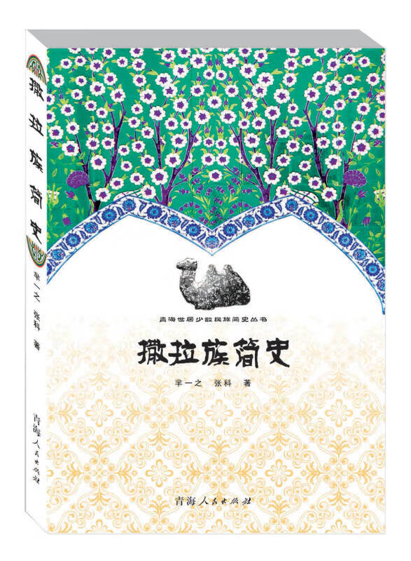 撤拉族简史9787225046990【好书】