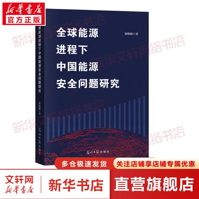 全球能源进程下中国能源安全问题研究 图书