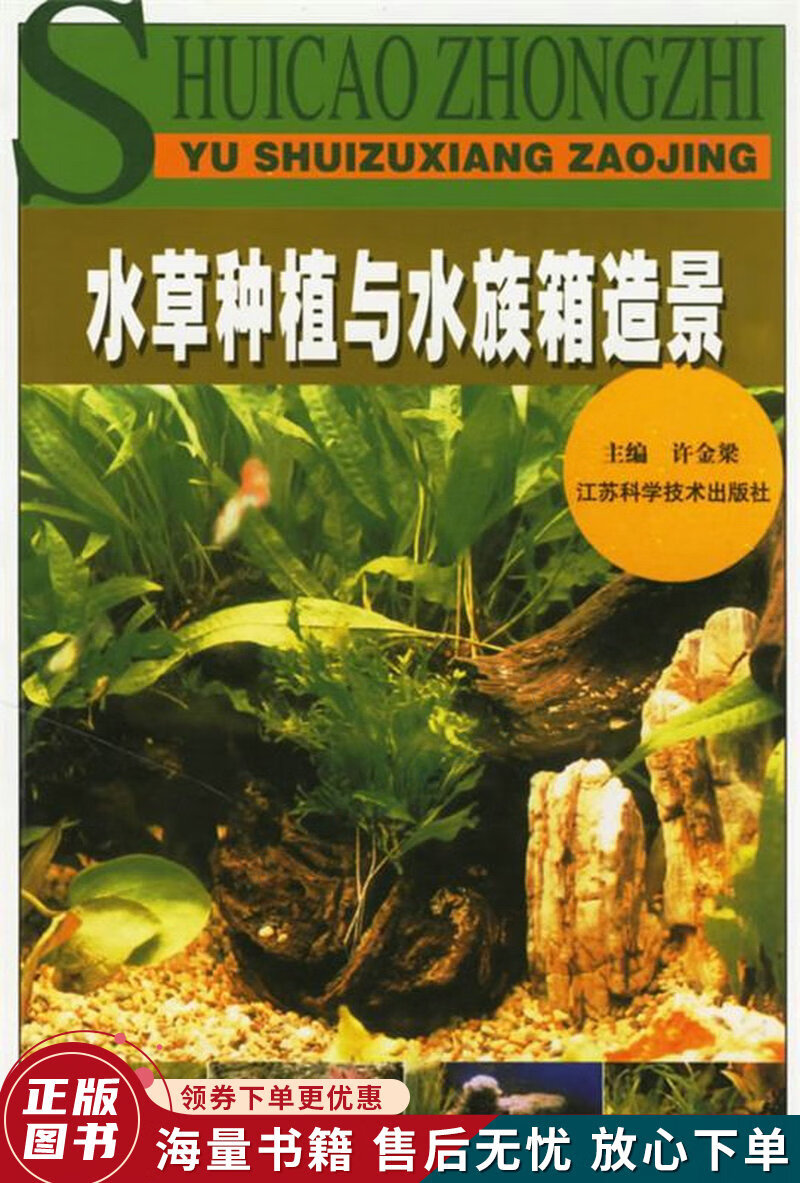 水草种植与水族箱造景