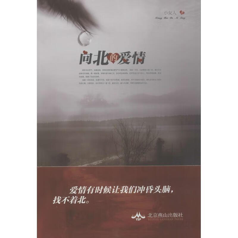 向北的爱情 小女人