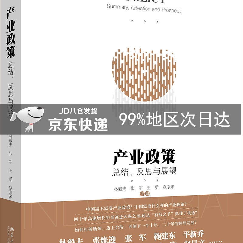 产业政策 总结、反思与展望
