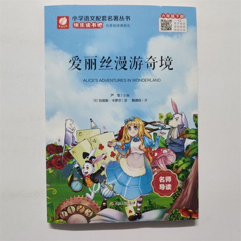 小学语文配套名著丛书一二三四五六年级下册 春雨 爱丽丝漫游奇境