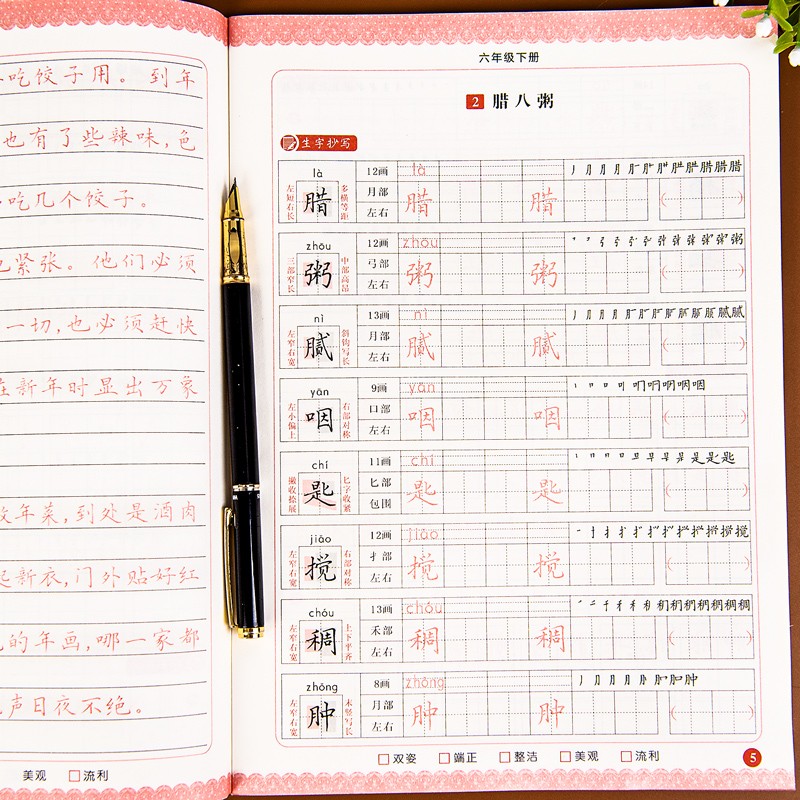 六年级下册语文同步练字帖 小学生6年级课本同步写字秘诀训练部编人教版生字词描摹练字硬笔画笔顺专项训练书写描红本 六年级下册