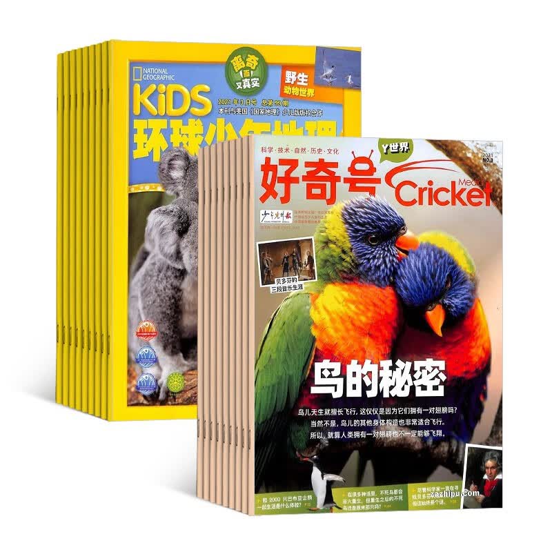 【【杂志预计10月发货】好奇号+环球少年地理杂志组合订阅 2023年10月起订 1年组合共24期 杂志铺（先发“杂志订阅清单）