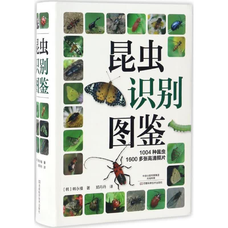 昆虫识别图鉴 〔韩〕韩永植 著,郑丹丹 译 9787534983085