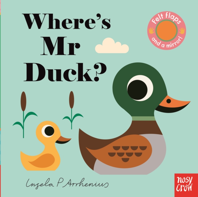 Where’s Mr Duck?