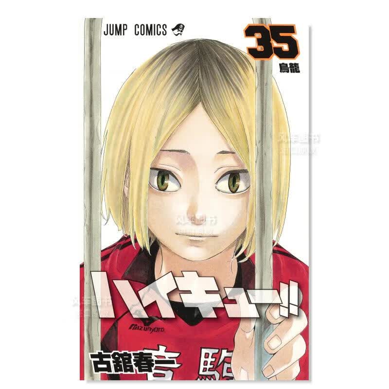 日版漫画 排球少年！！35 ハイキュ—!! 古馆春一 日本漫画书 集英社