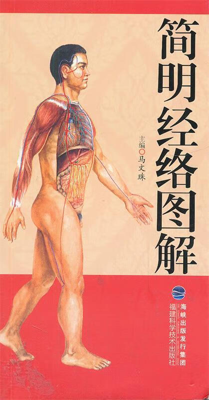 简明经络图解 马文珠【书】