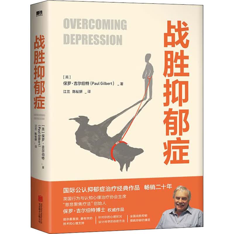 战胜抑郁症 图书