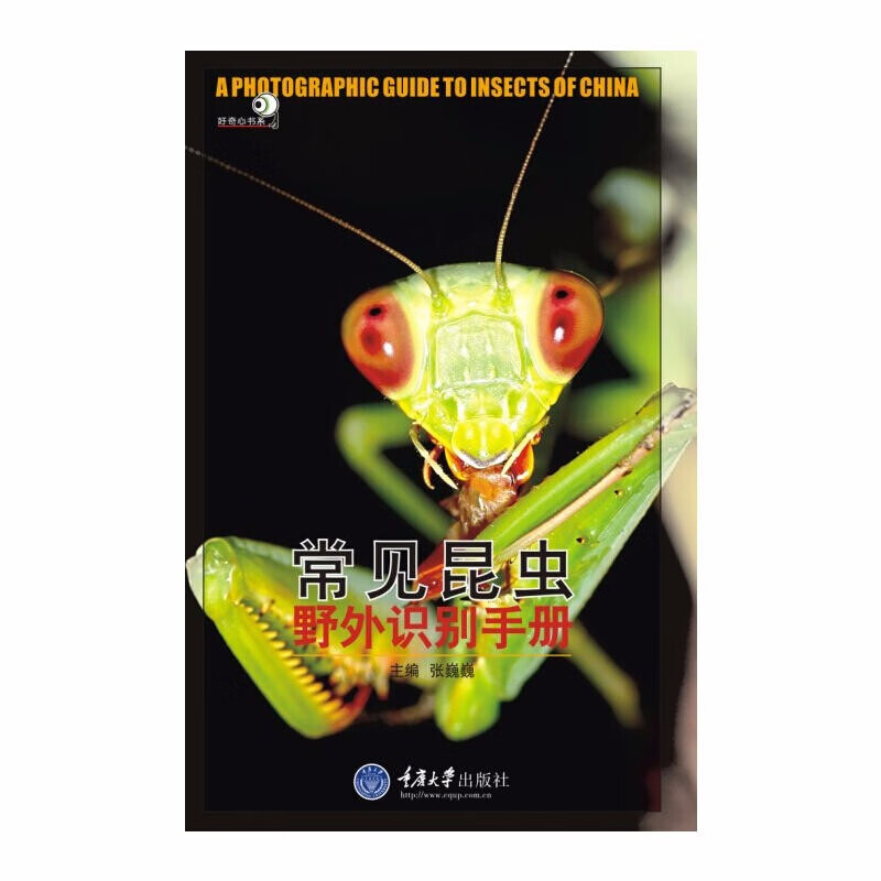 好奇心书系·野外识别手册：常见昆虫野外识别手册   张巍巍 编   重庆大学